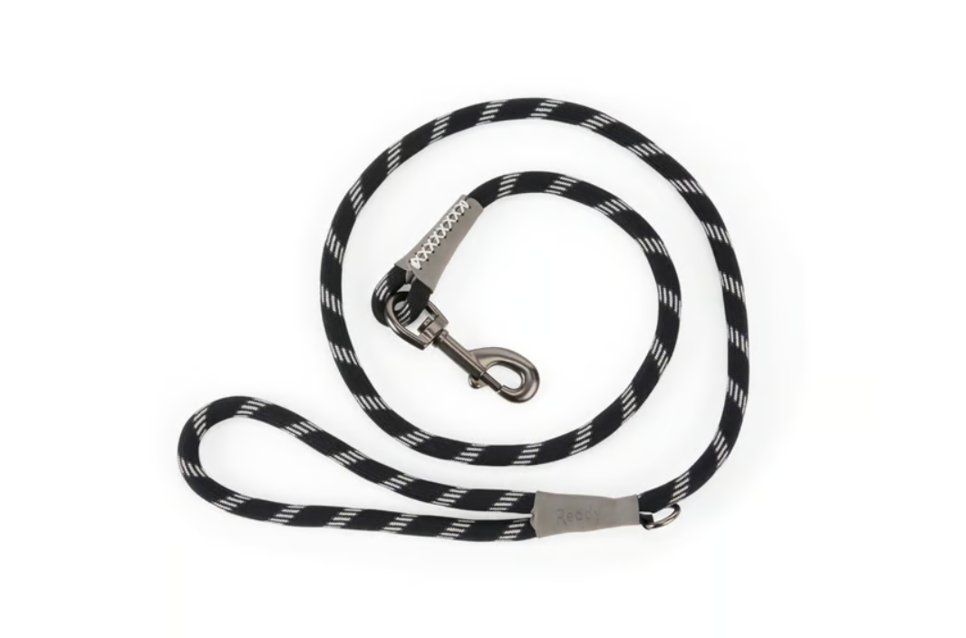 Reddy Dog Leash
